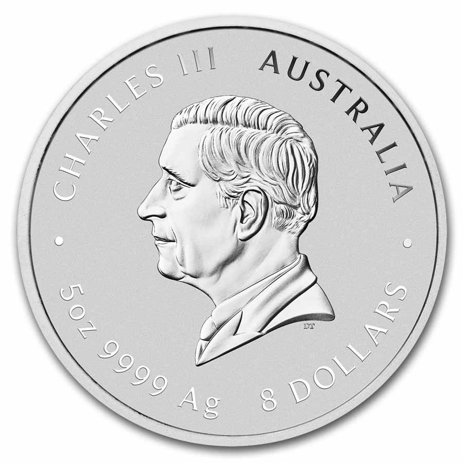 Lunar III Year of the Snake blue 5 oz 2025 - Perth Mint | 101 munten